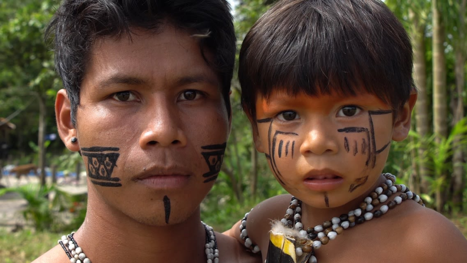 The Disappearing Voices of the Amazon: Why They Matter | TLD